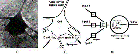Sleep, Dreams and Intellect. By Victor Tolstykh